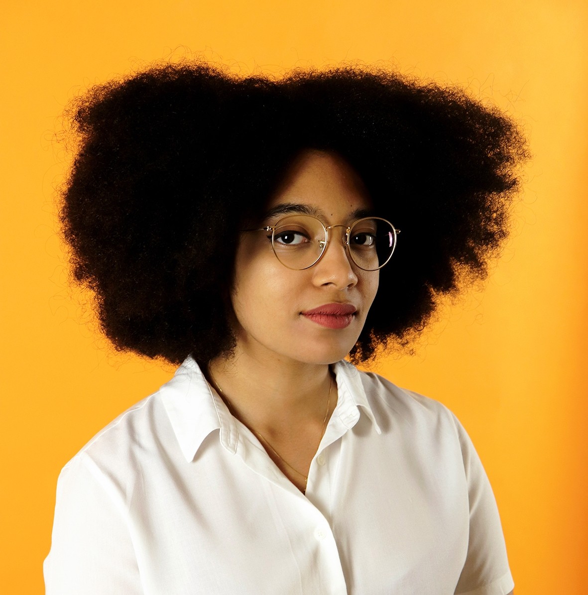 Laura TOLEN | Collection d'art Société Générale