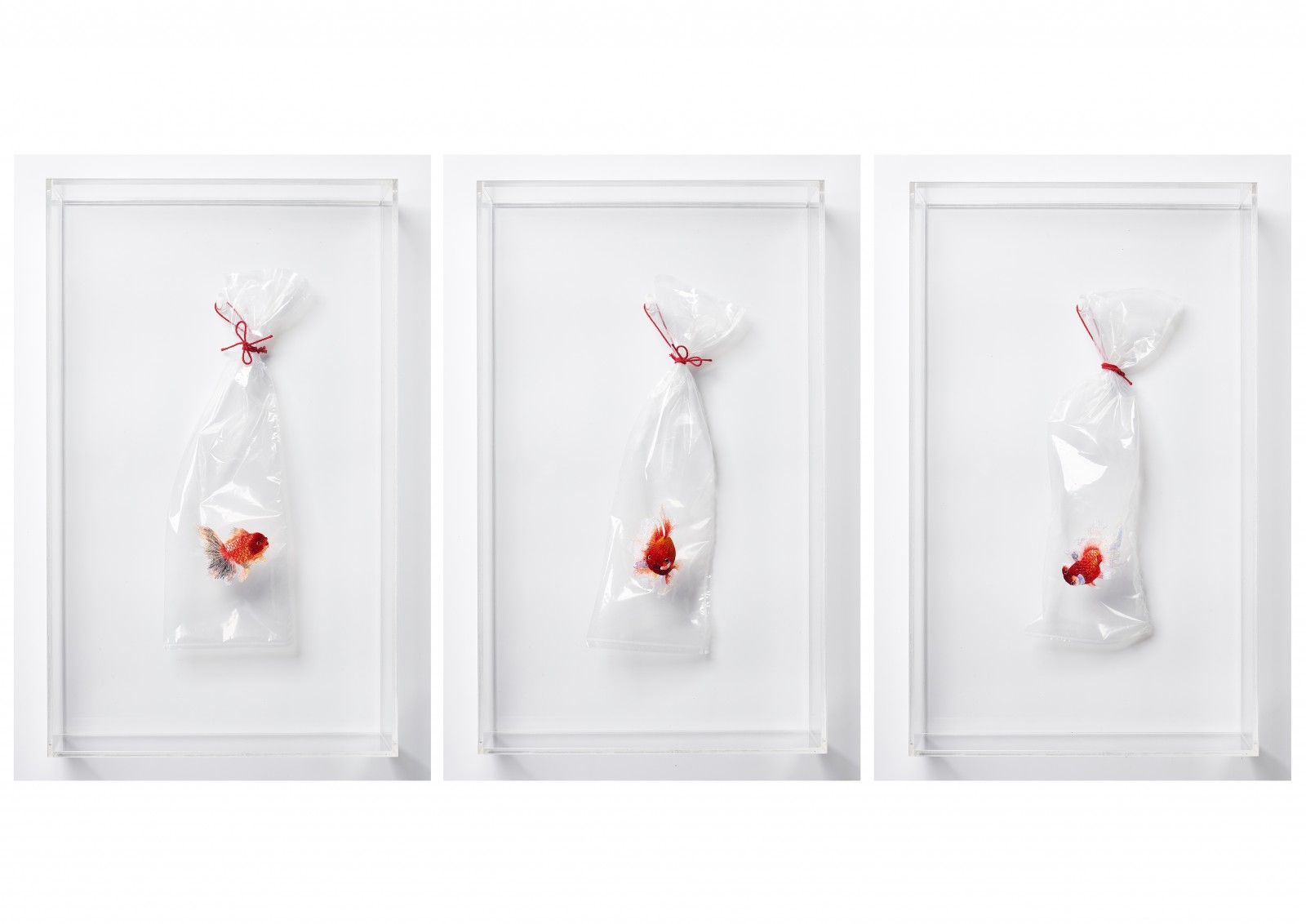 Embroidery on the plastic bag – Goldfish Street | Collection d'art ...